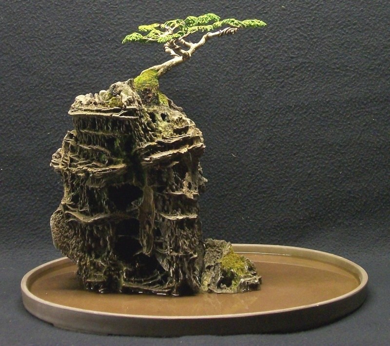 7 Hal Menarik tentang Bonsai Serut - CentralBonsai.Com :: Berbagi Ilmu ...