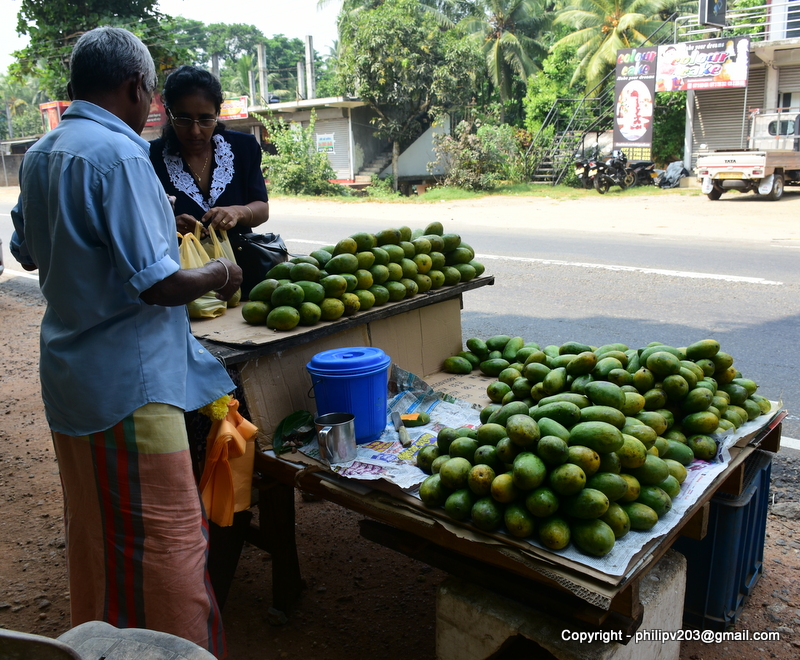 Images of Sri Lanka on blogspot.com: Mangos for sale, Statue of Lord ...