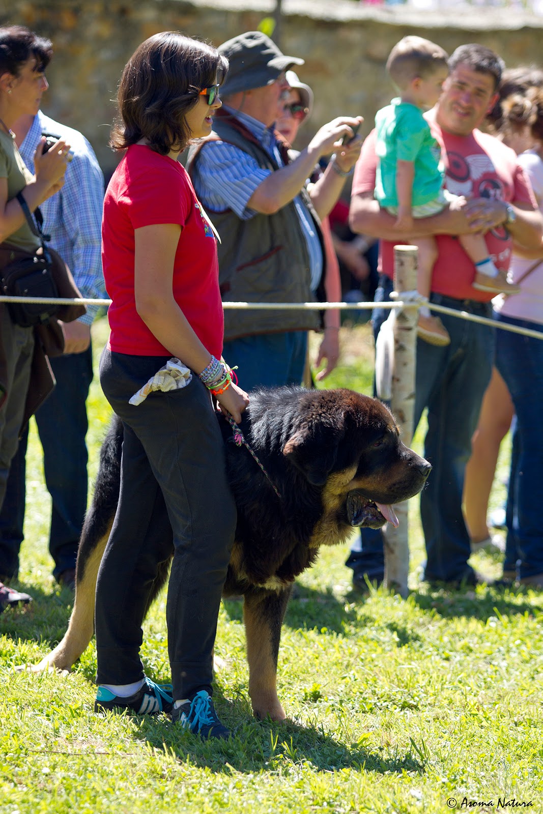 Lienzo tierra: septiembre 2014
