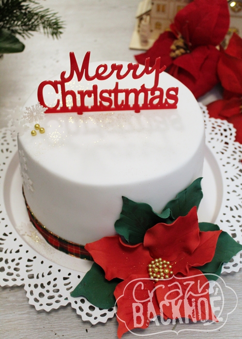 Crazy BackNoé: Merry Christmas Torte