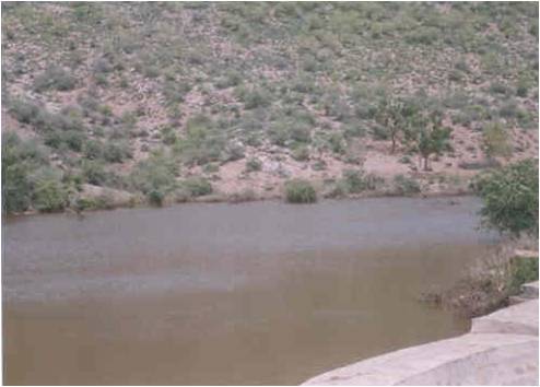 Waterman of India: ARVARI, THE RIVER a people’s movement