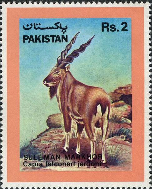 Pakistan Postage Stamps - 1988 ~ My Philatelic World