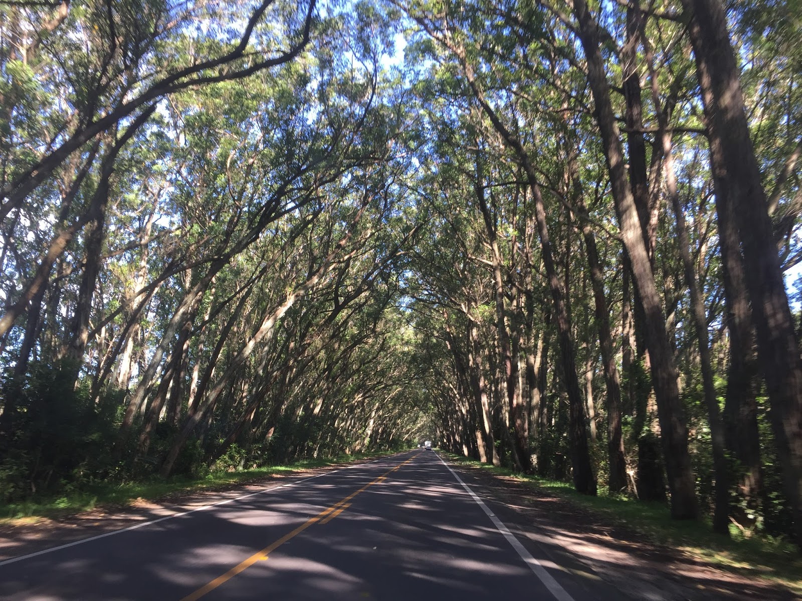 Turma da História: Balneário Pinhal, cidade do RS.