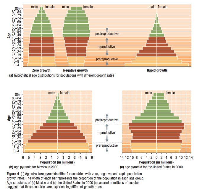 Population Dynamics: 2016