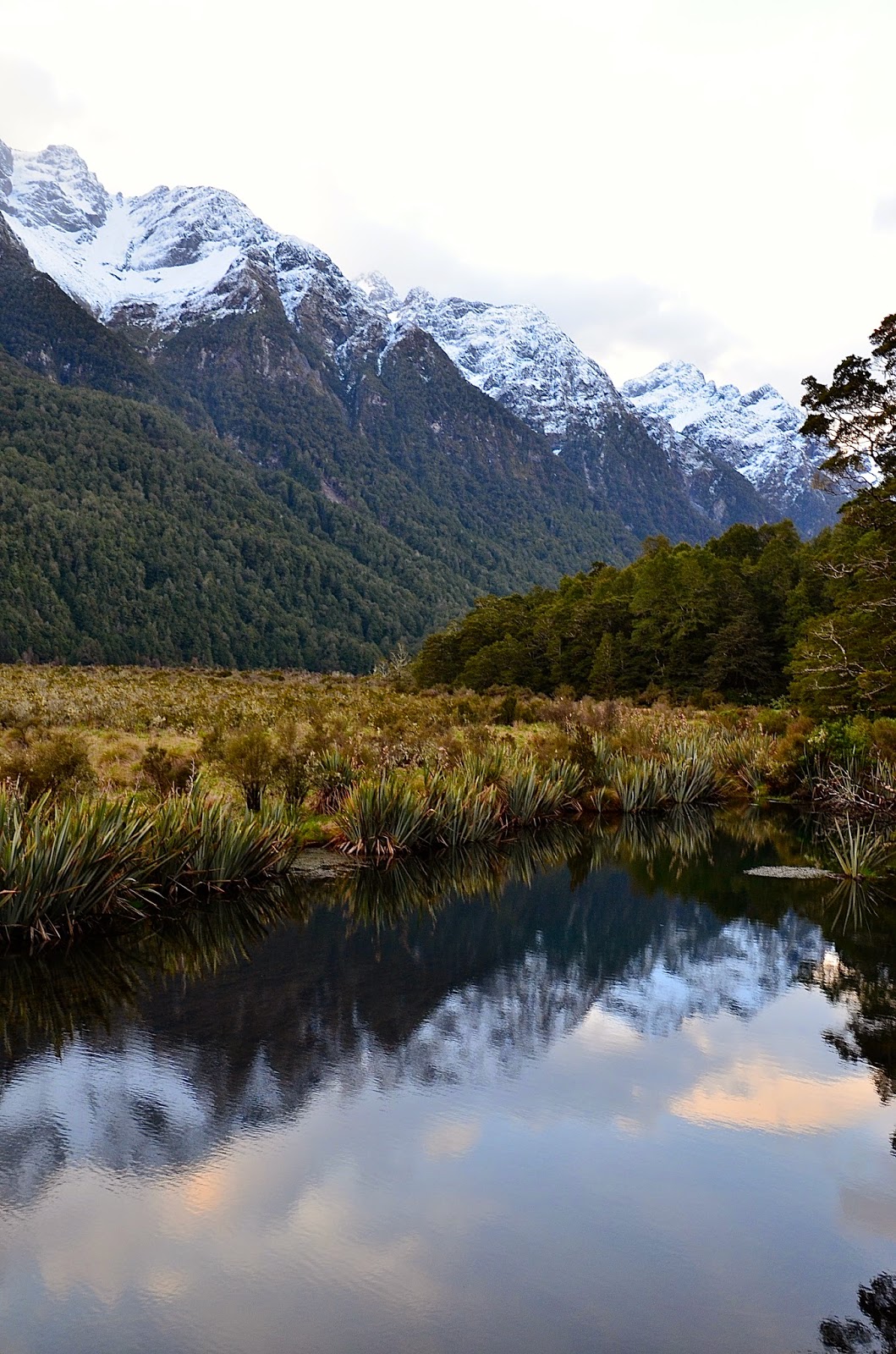 bwisegardening: Grief Is A River