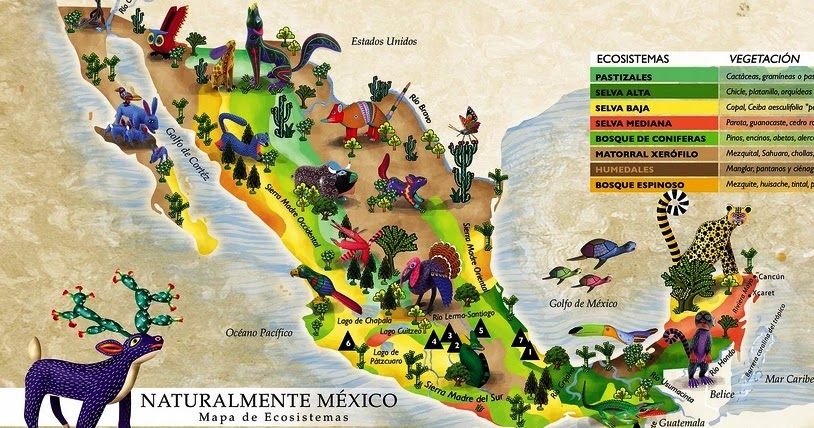 Flora y Fauna de Mexico