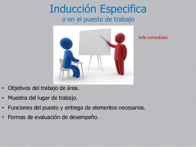 PROCESO DE INDUCCION
