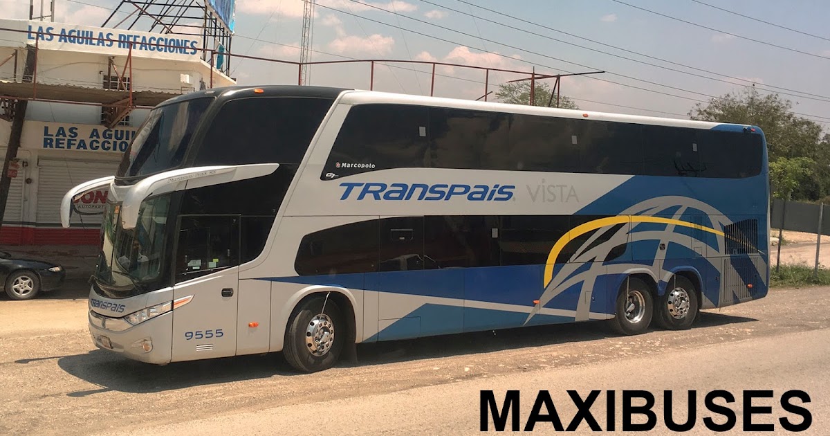 MAXIBUSES: TRANSPAÍS - VISTA