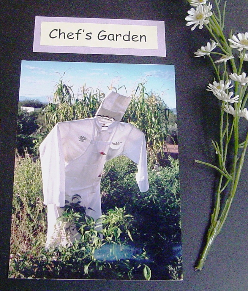 Tucson Daily Photo ~: Chef Scarecrow