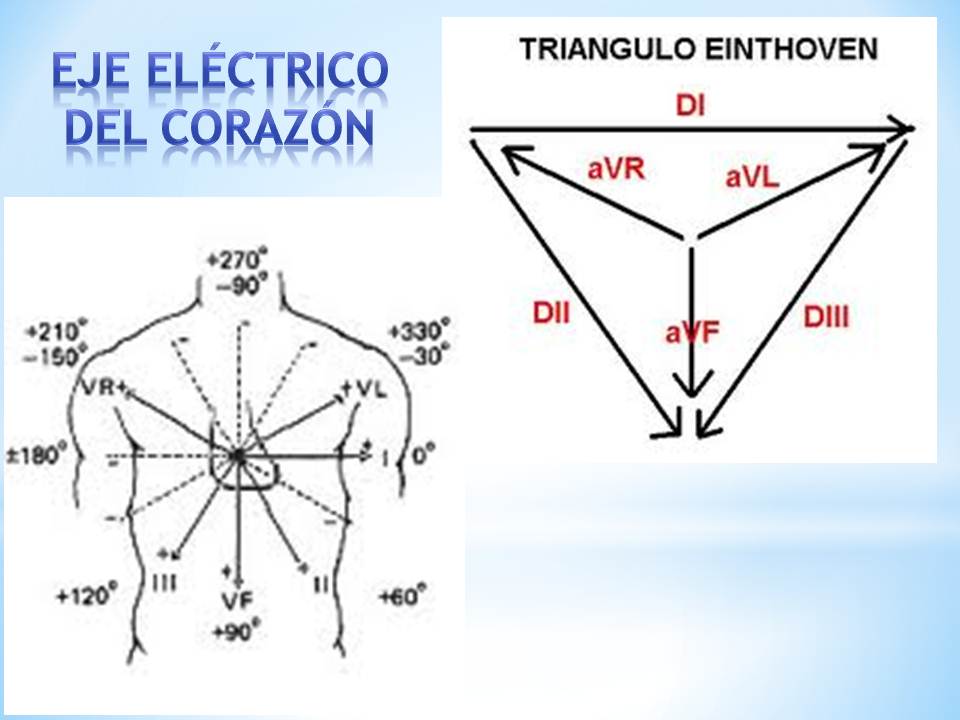 Fisiología Básica: Eje eléctrico del corazón