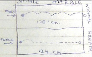A Mans Science lab: Marble motion!