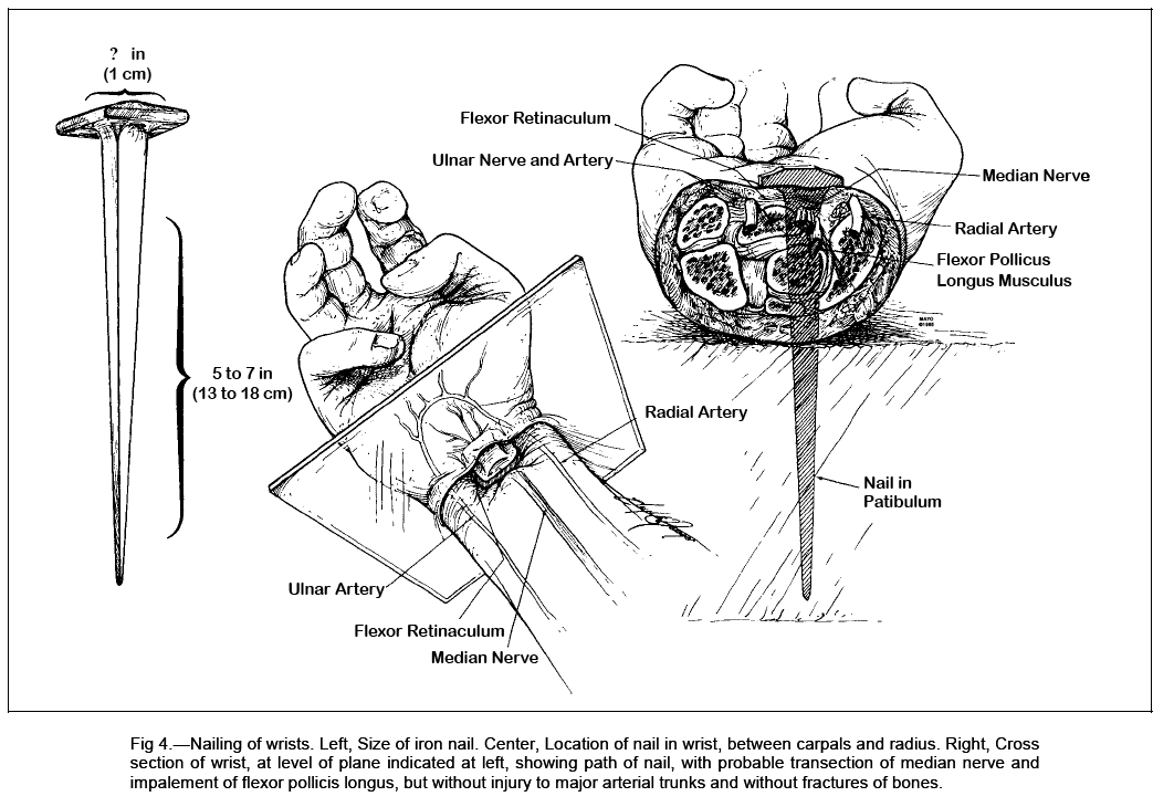 Echoes of the Myth: On the Physical Death of Jesus Christ