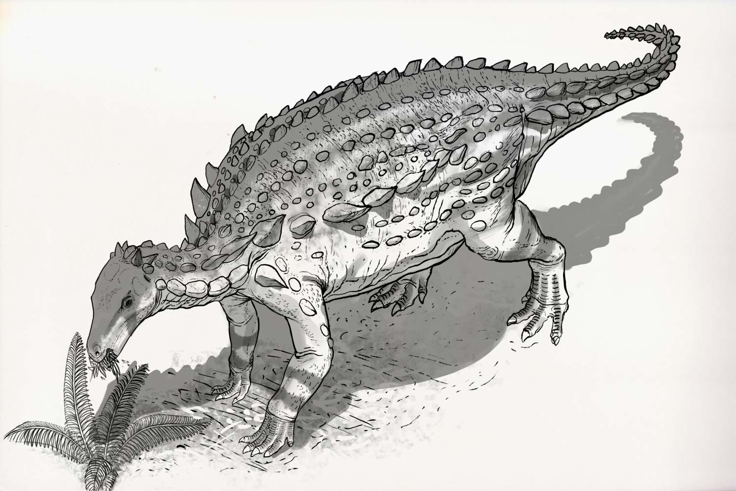 Raul Ramos Paleo Illustration: Draw Dinovember Day 19 Scelidosaurus