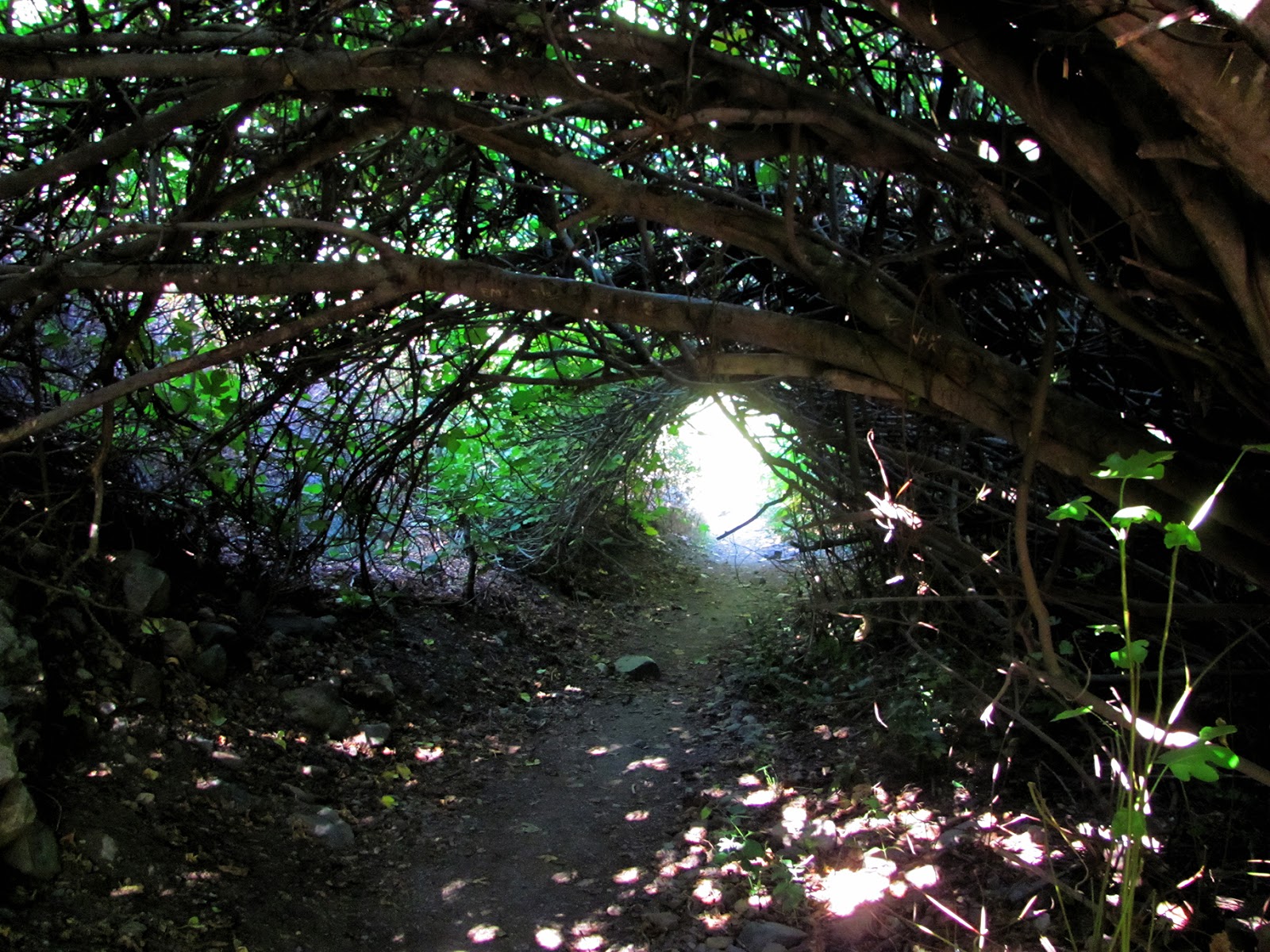 Holy Jim Falls. Trabuco Creek Road ~ Adventures in Southern California