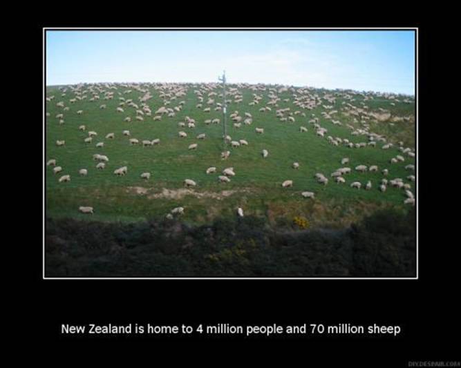 aspundir-some-unknown-facts-about-animals