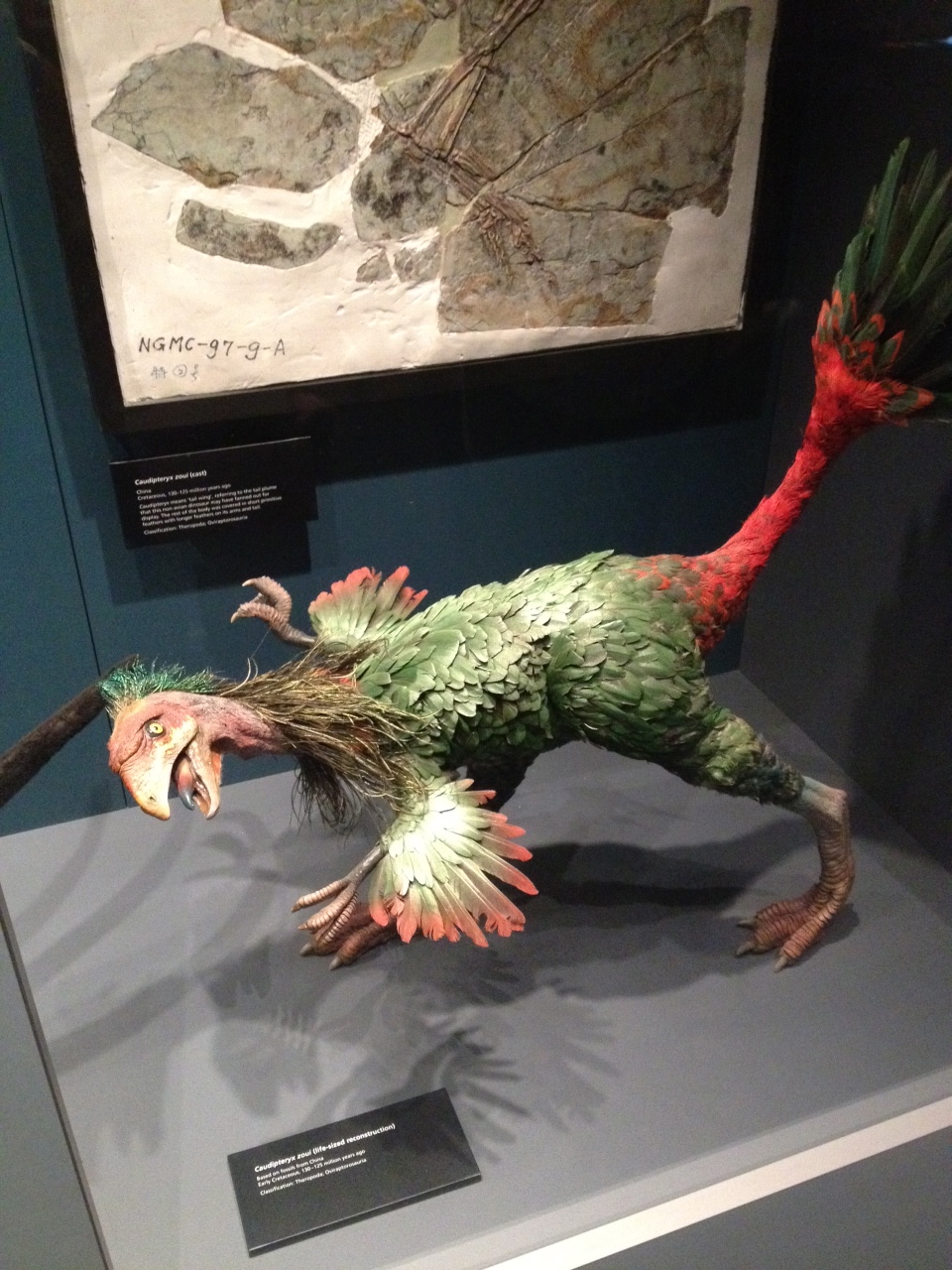 Discussione:Tyrannosaurus rex - Wikipedia