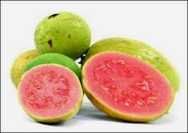 JENIS TANAMAN JAMBU BIJI/ JAMBU BATU ~ Budidaya Desa