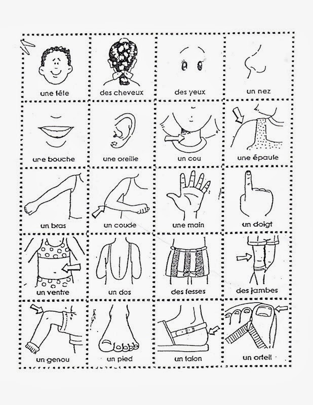 Core French with Mme Batchelor: Les Parties du Corps