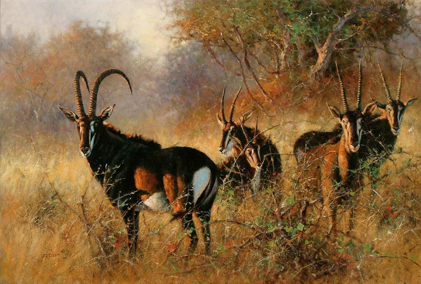 Eric Forlee, 1949 ~ Out of Africa | Wildlife art, Animal paintings ...
