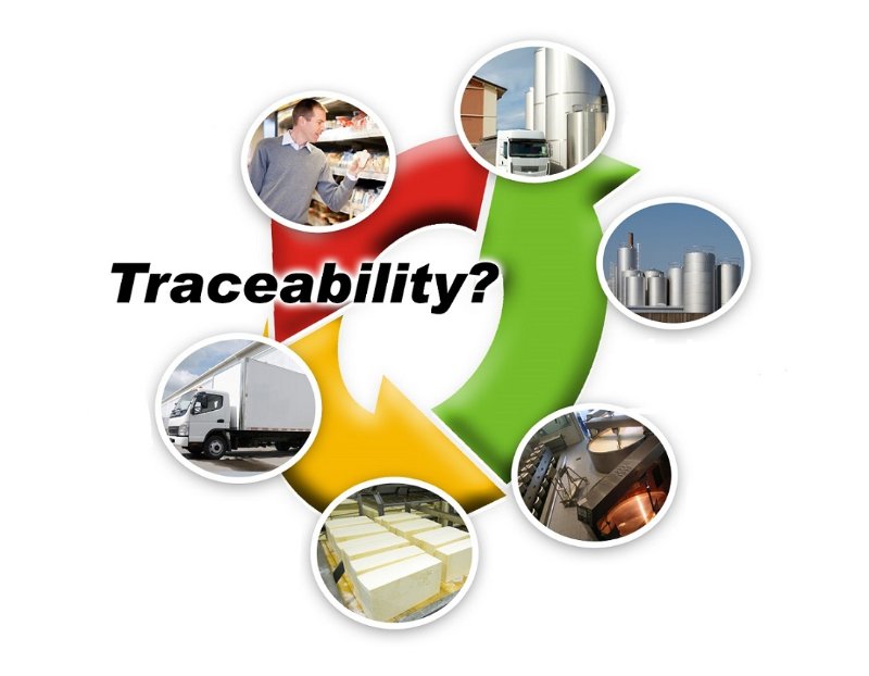 Penyuluh Perikanan Kabupaten Bangka Selatan: Mengenal Sistem Traceability