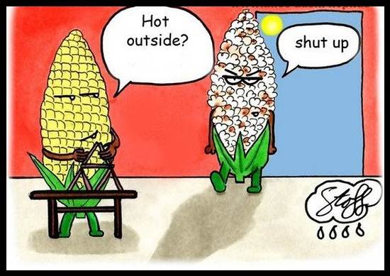 Peace, Love & Understanding: Funny Friday - Heat Wave