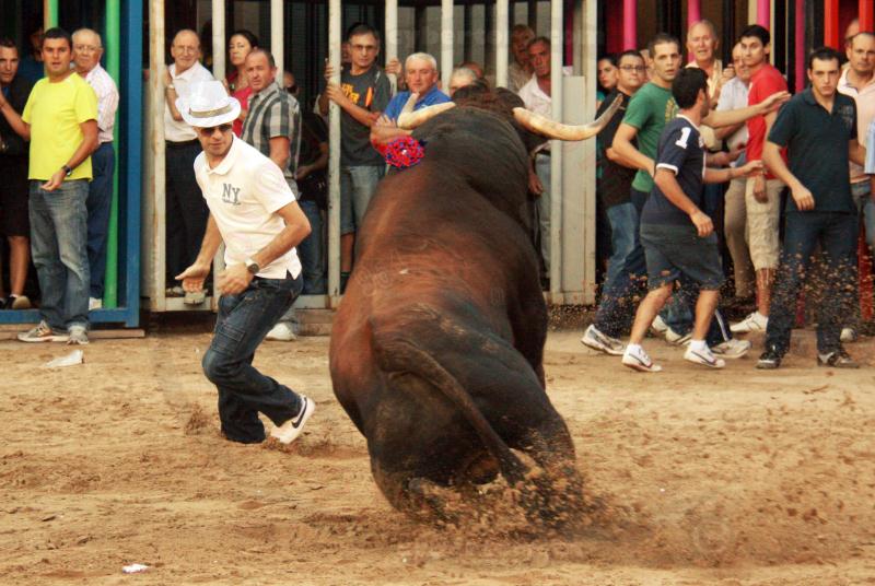 ESPAI TAURÍ: Sant Antoni, Moncofa