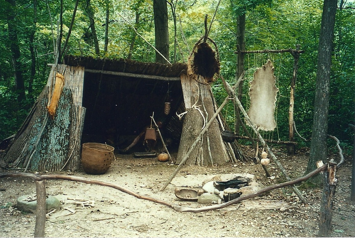 Flashbacks & Food Foraging