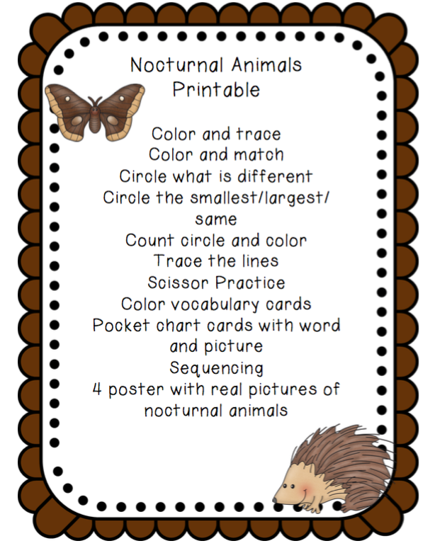 Nocturnal Animals Printable - Printable Word Searches