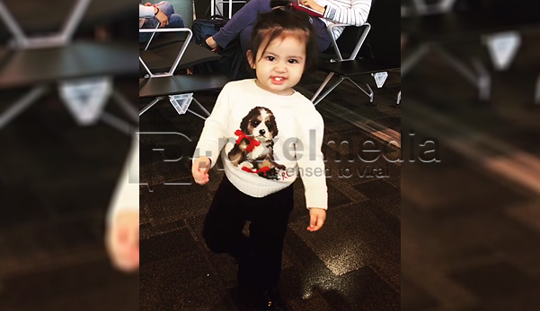 Netizen Kritik Che Ta Bagi Anak Pakai Baju Anjing | The Reporter