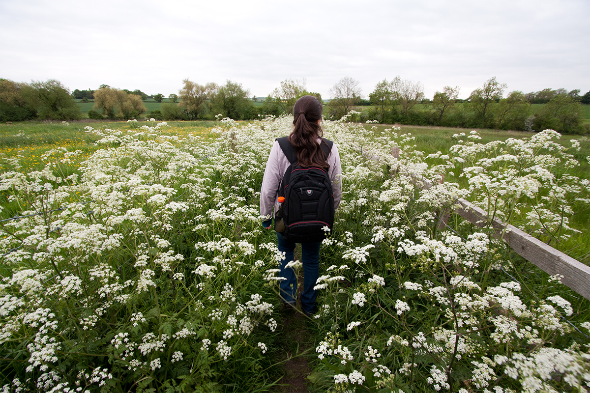 fotojoc: sauntering...