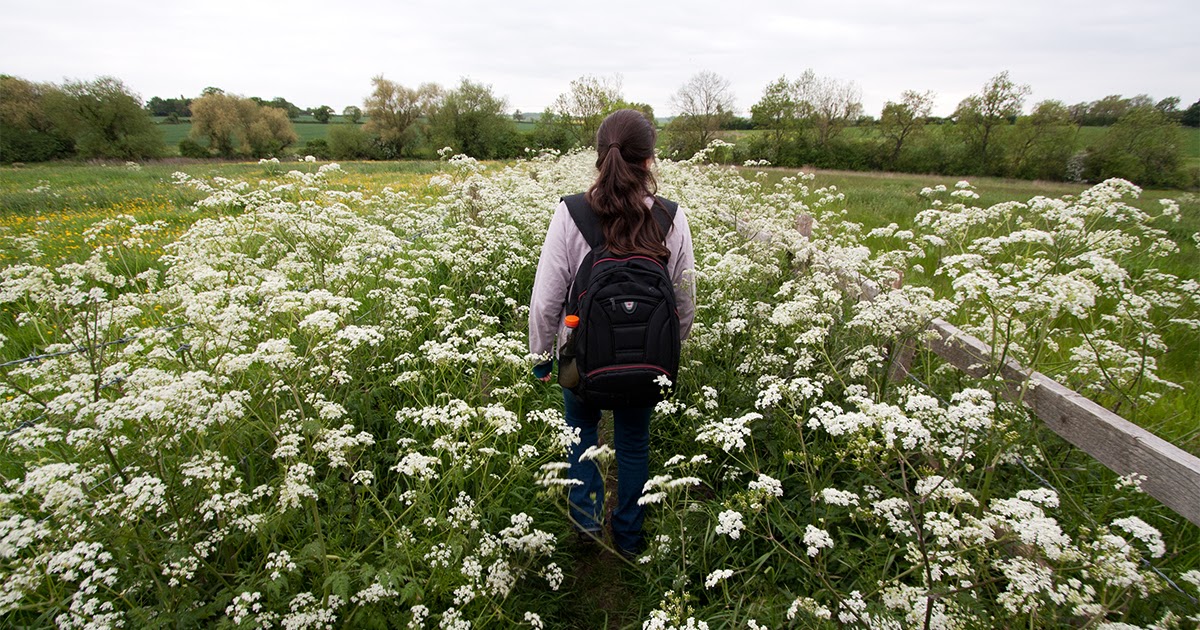 fotojoc: sauntering...