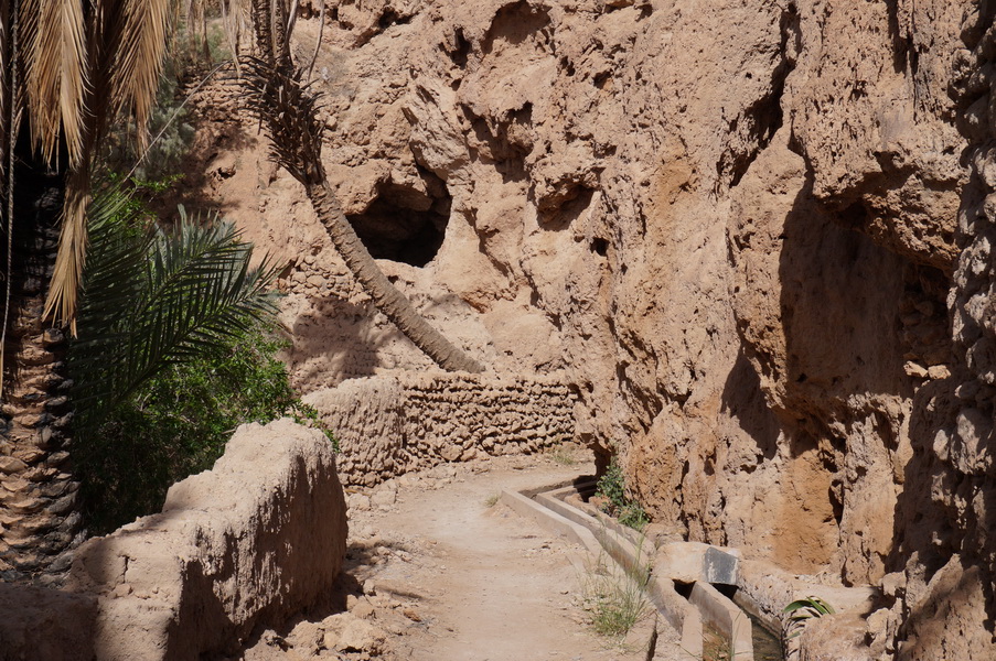 Notre tour du Maroc 2014: 02 avr - Visite au ksar Zenaga - Figuig