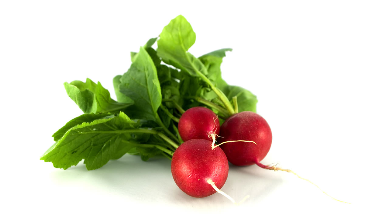 Como plantar rabanete Cultivar Plantas Como Plantar