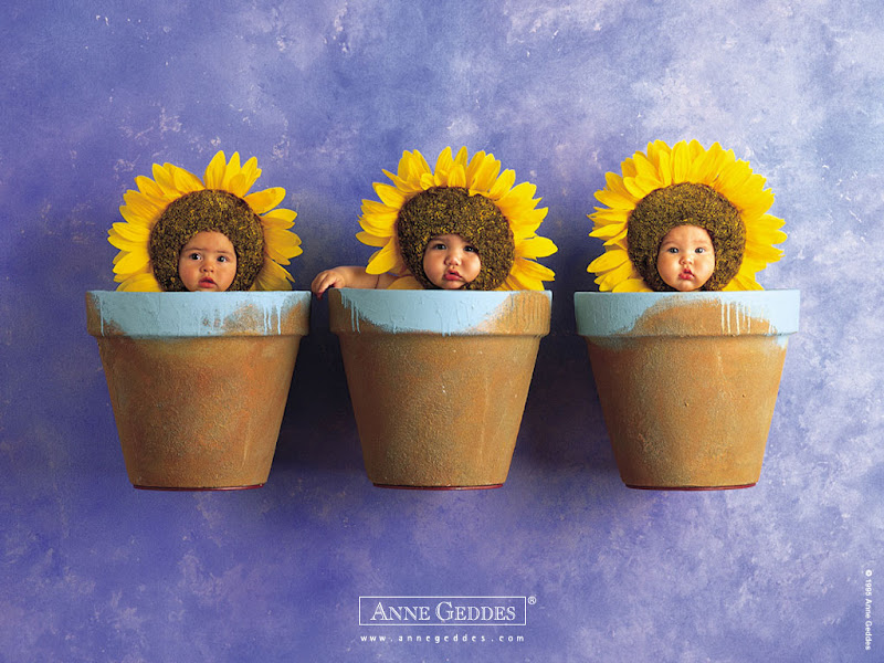 Anne Geddes Babies Images with Flowers. - Oh My Baby!