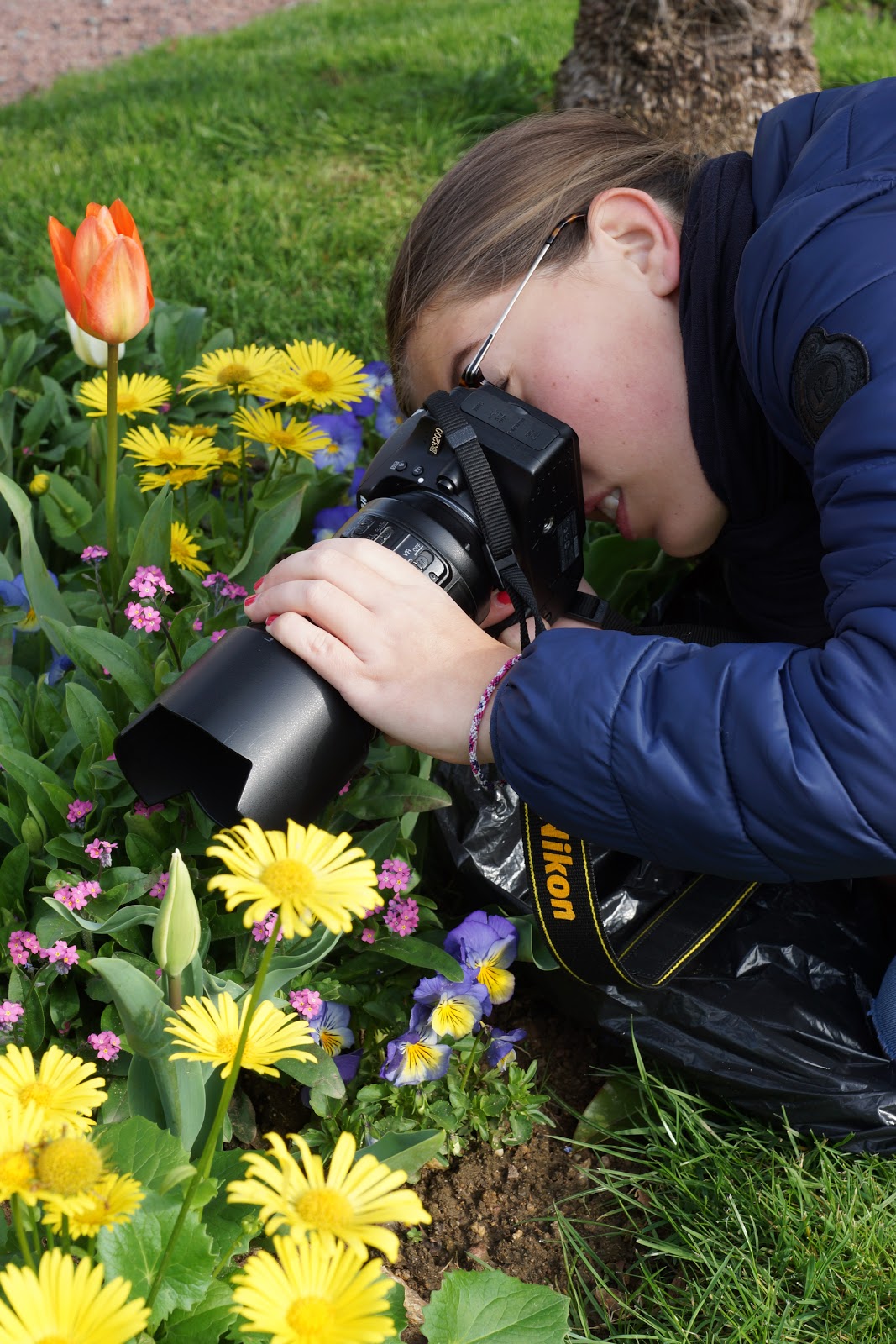 OBJECTIF IMAGE 85: Sortie "Photos macro"