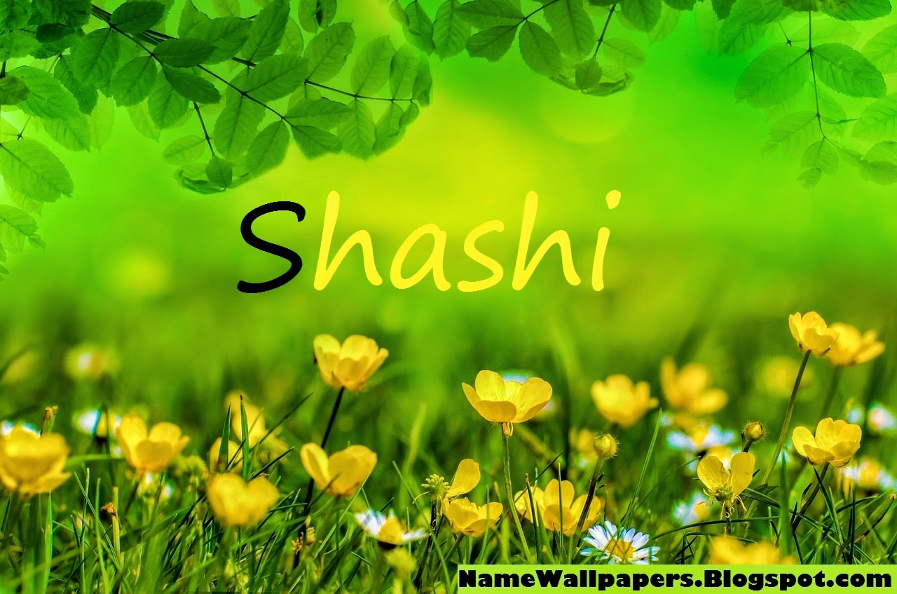 Shashi Name Wallpapers Shashi ~ Name Wallpaper Urdu Name Meaning Name ...