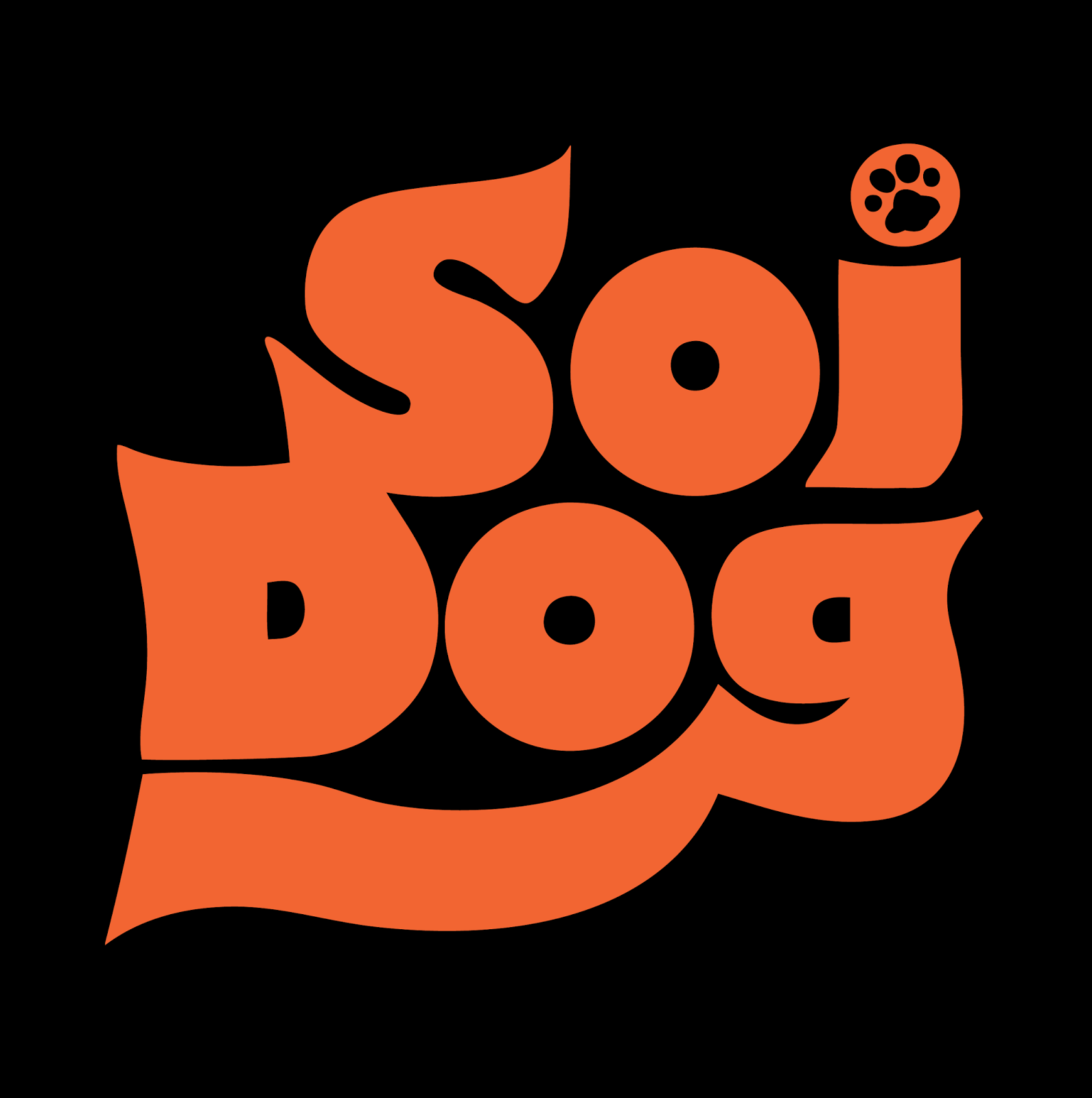 Project 52: Spotlight on.... Soi Dog Foundation