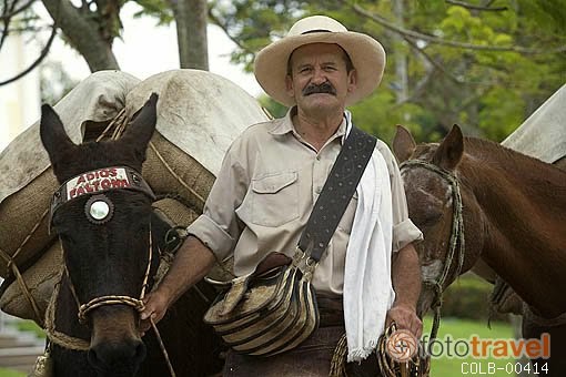 EL CAJON DE LOS CONOCIMIENTOS: ARRIERO