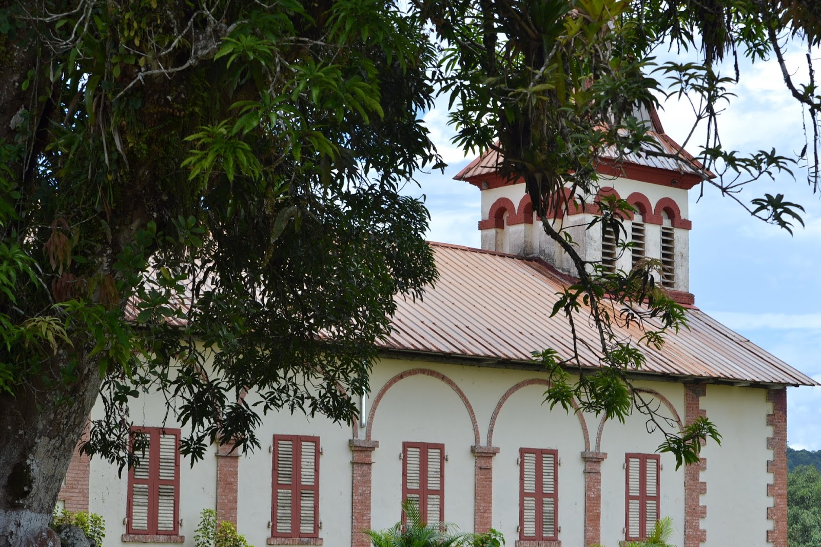 A LA DECOUVERTE DU PARADIS VERT: ROURA