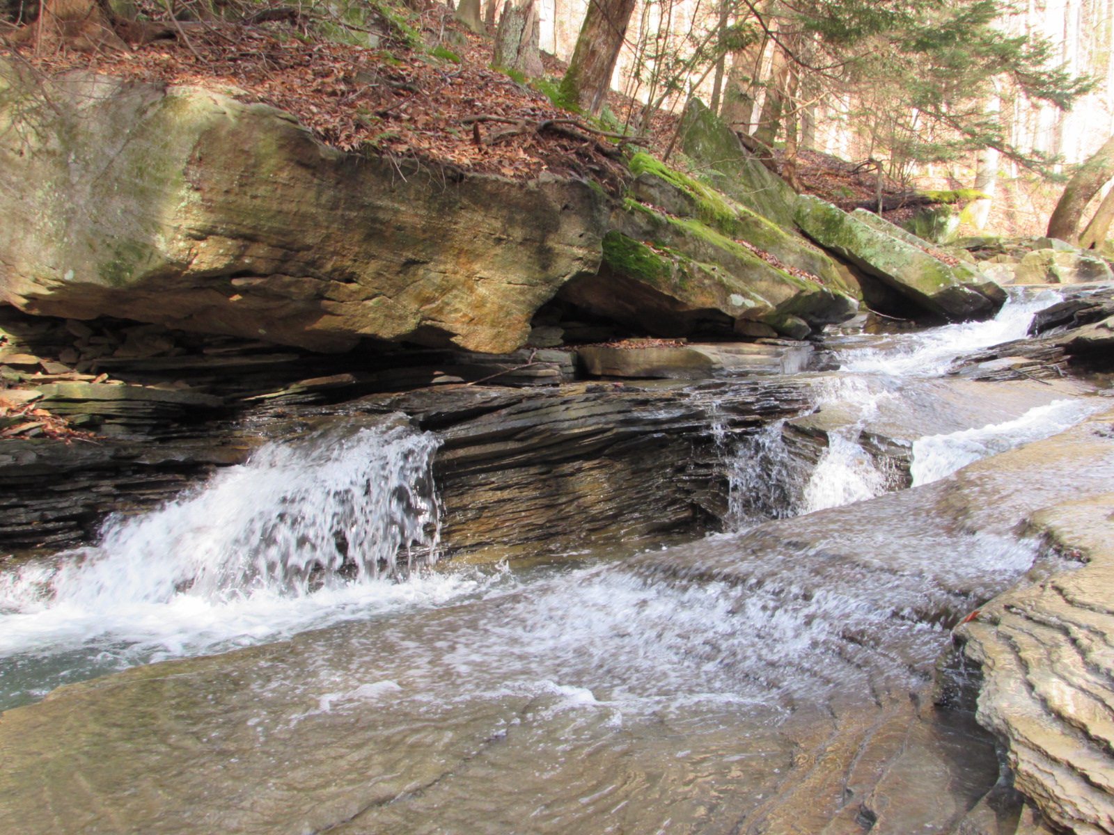 Roaring Run Natural Area, Apollo, PA | Interesting Pennsylvania and Beyond