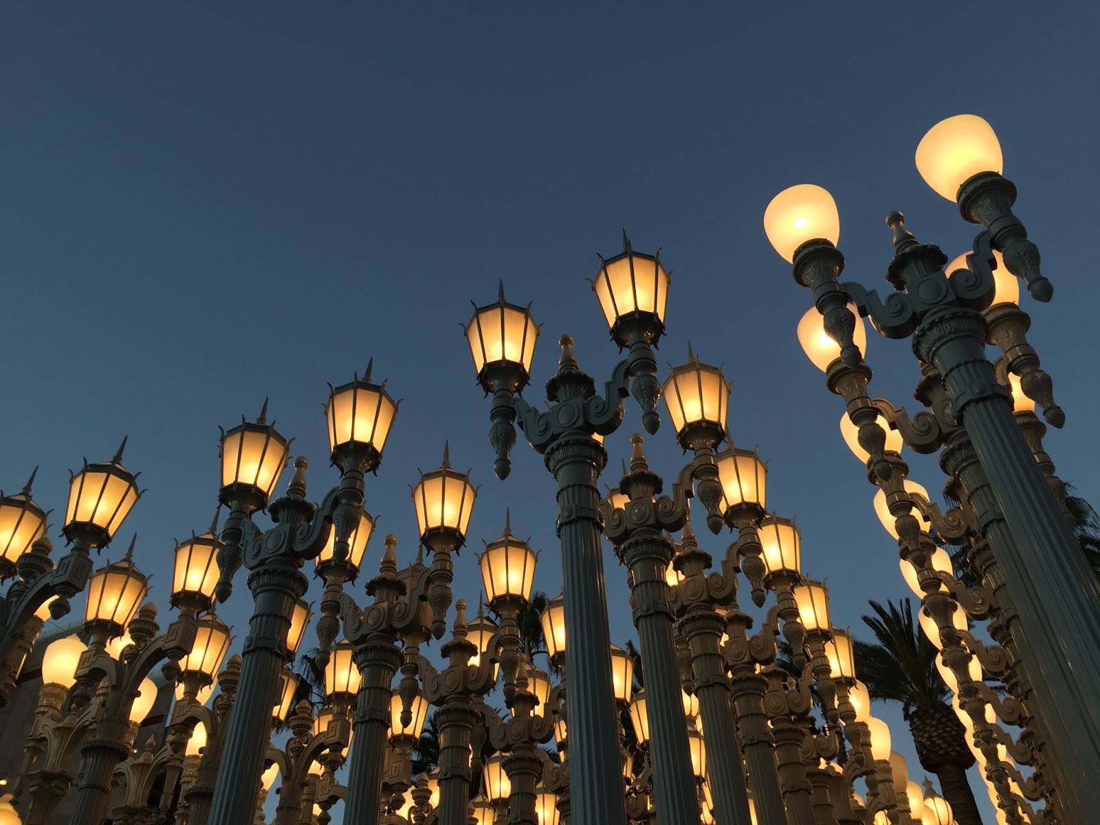 Living the Austinian Dream