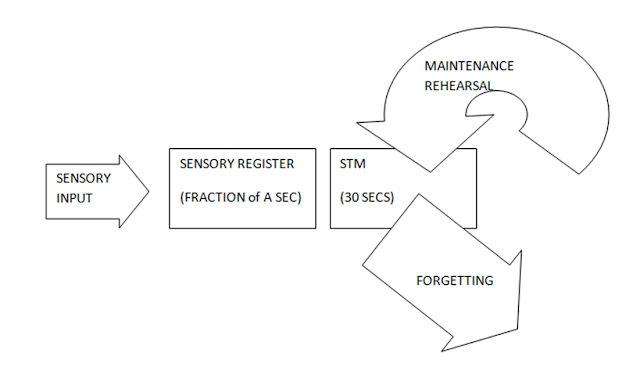 Emm's Psychology Revision Resources: Theories of Memory - Describing