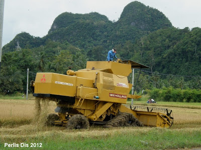 Diari Keluarga Firdausi: Sawah Padi di Perlis