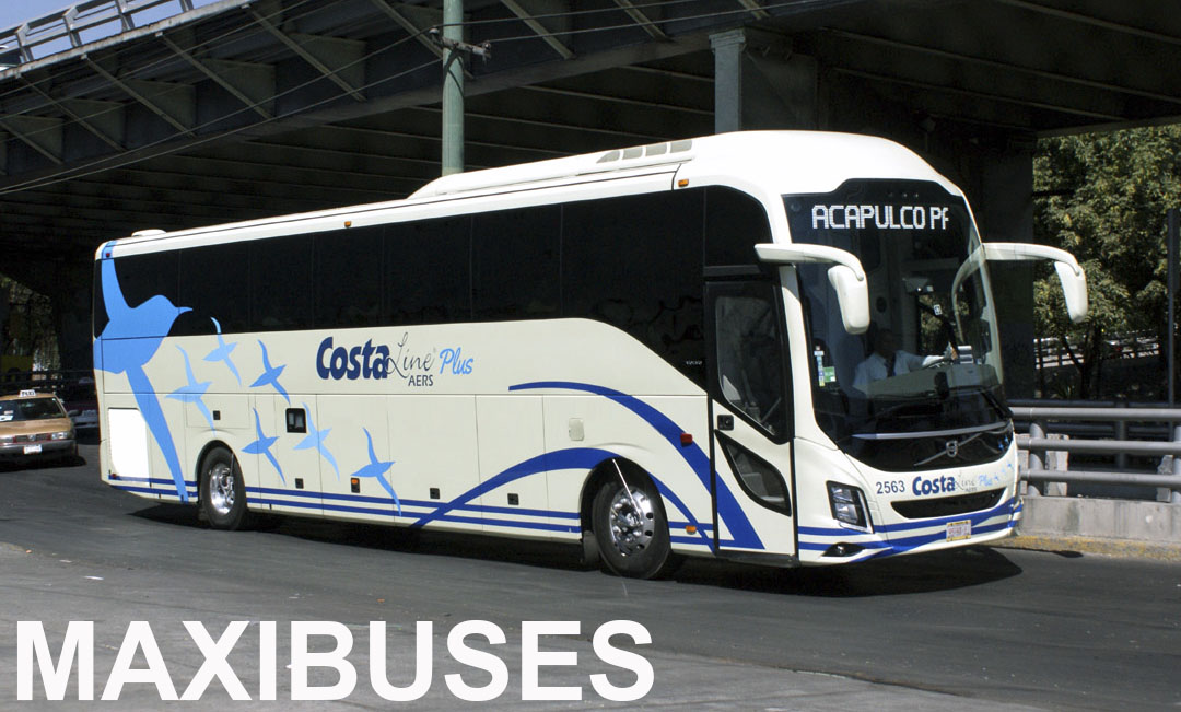 MAXIBUSES: COSTA LINE PLUS