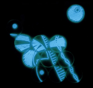 Bioarte.: Hunter Cole e os desenhos bioluminescentes