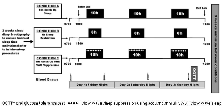 What Is The Sleep Function In C