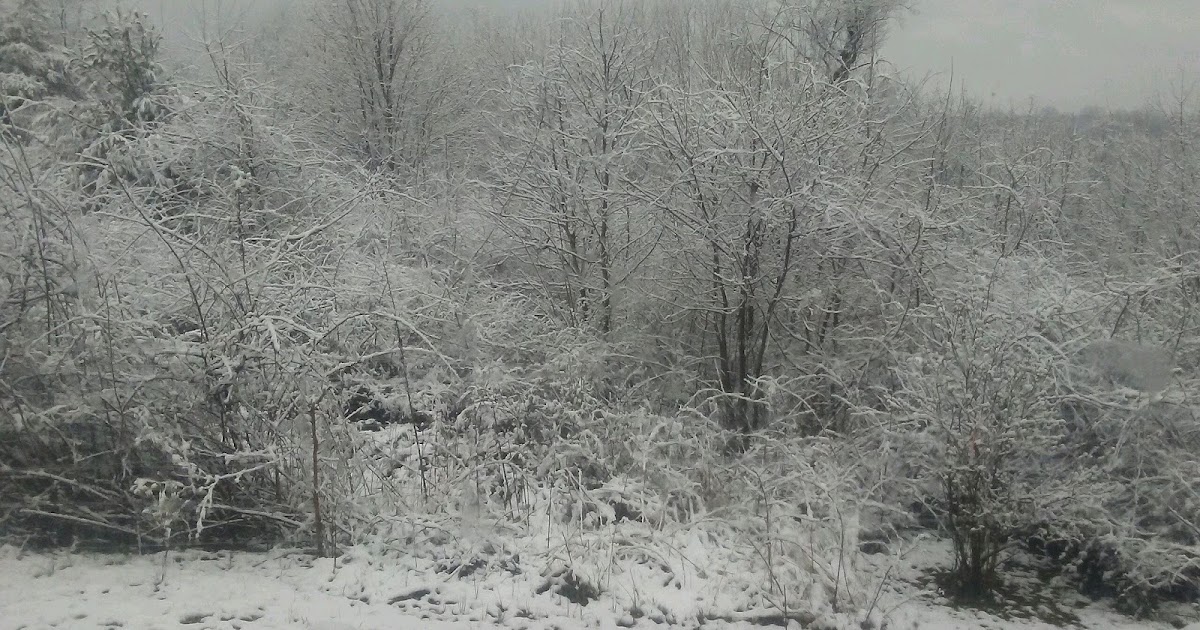 Miracle Chicken: Seriously?