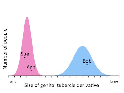 eScienceCommons: A beginner's guide to sex differences in the brain