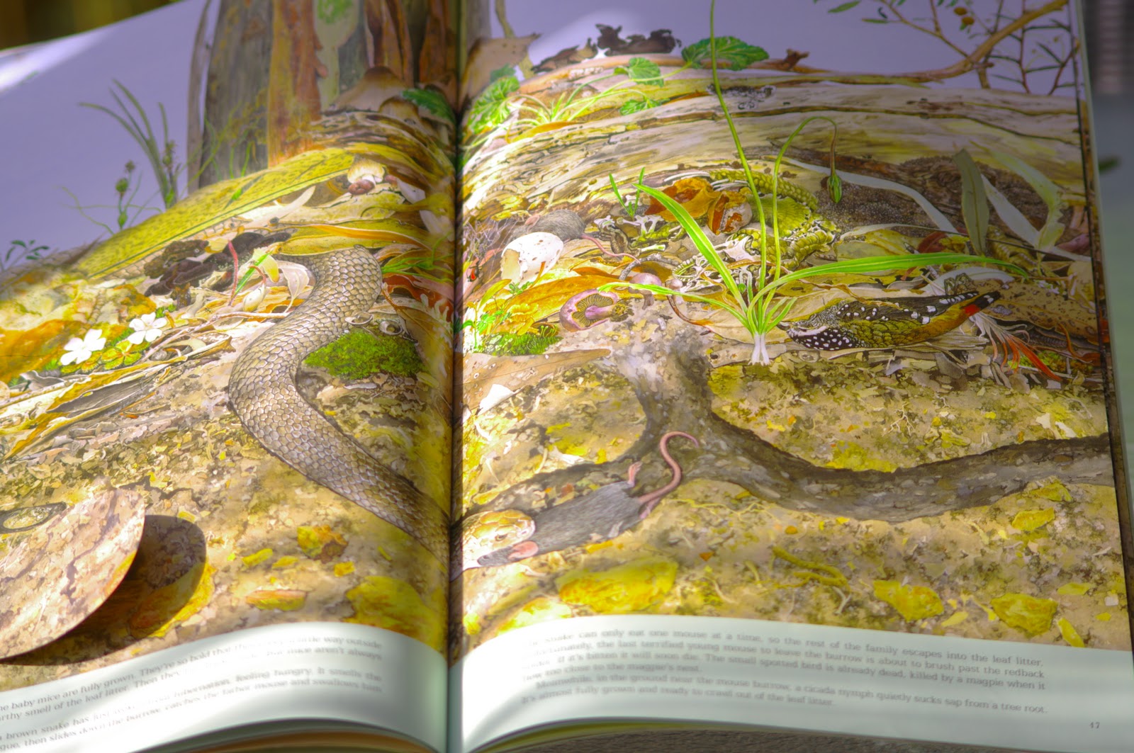 nature books for children