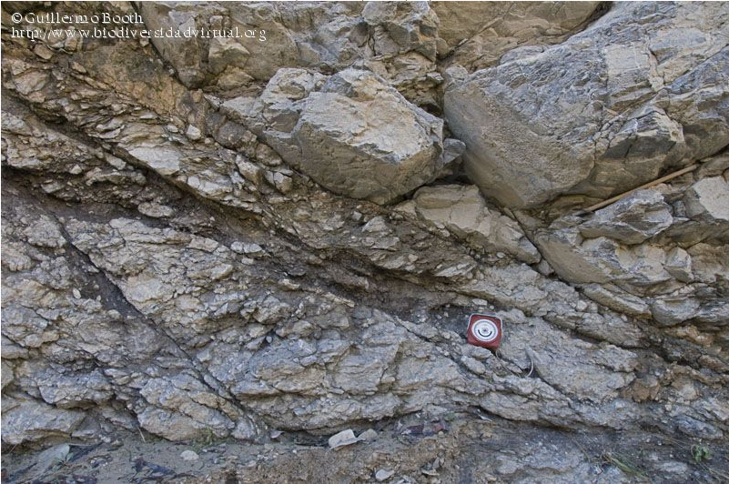 Geólogo en Exploración Petrolera: febrero 2016